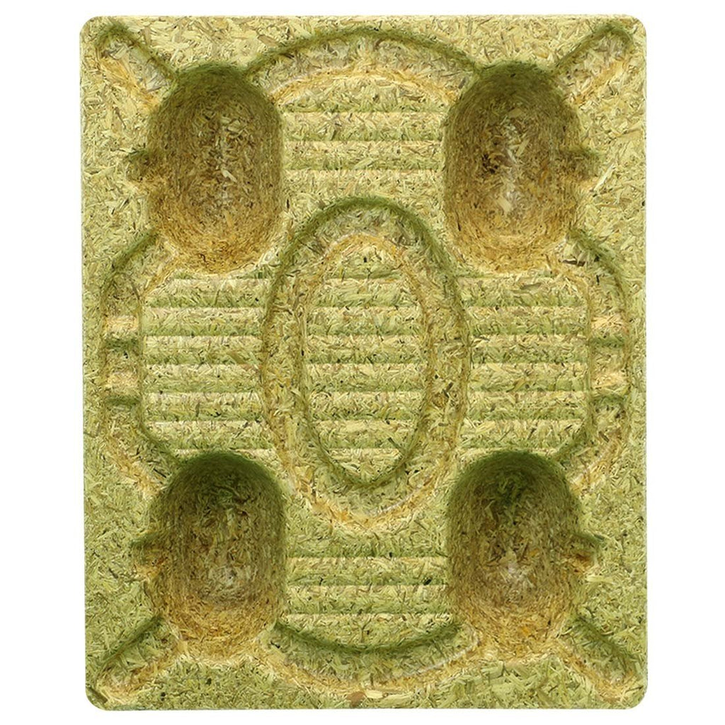 20 x 24 Molded Wood Pallet - Export Ready | Best Plastic Pallets #PW-S ...